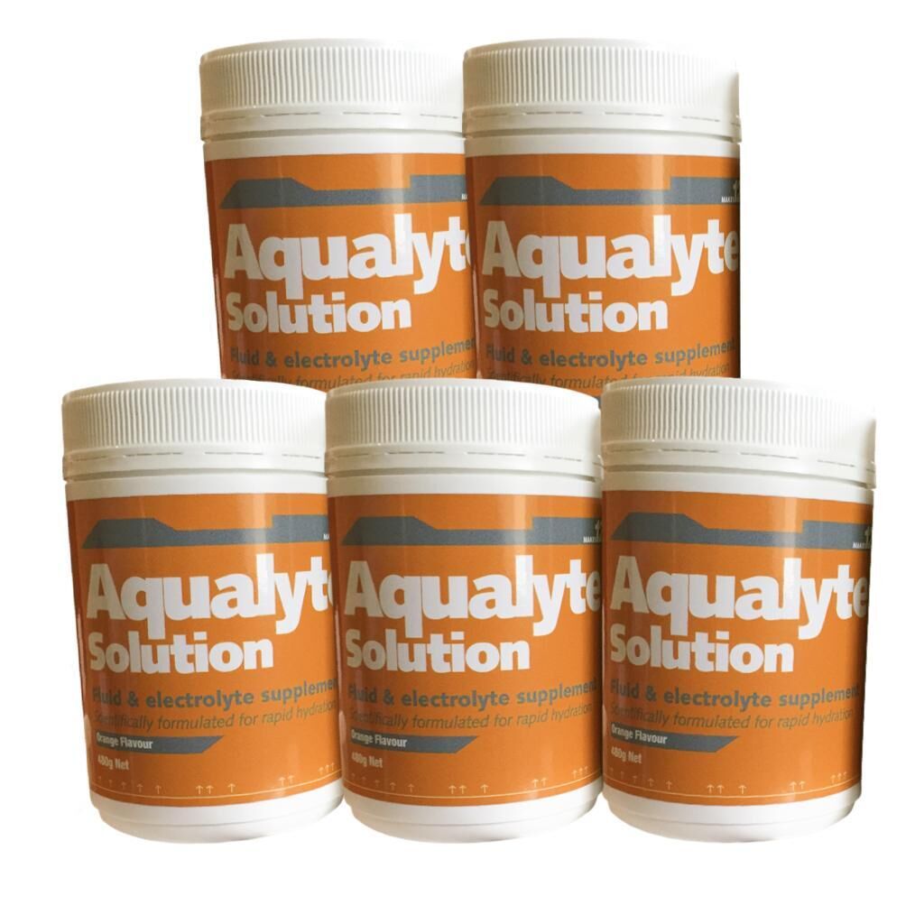 Aqualyte Orange Citrus 480g Tubs - SafetyHQ